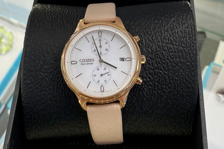 Certificate for a Citizen Watch from Teleky Jeweler | Oneonta, NY ...