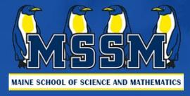 Girl's Camp Admission to MSSM Summer Camp | Bangor, ME Auctions | Seize ...